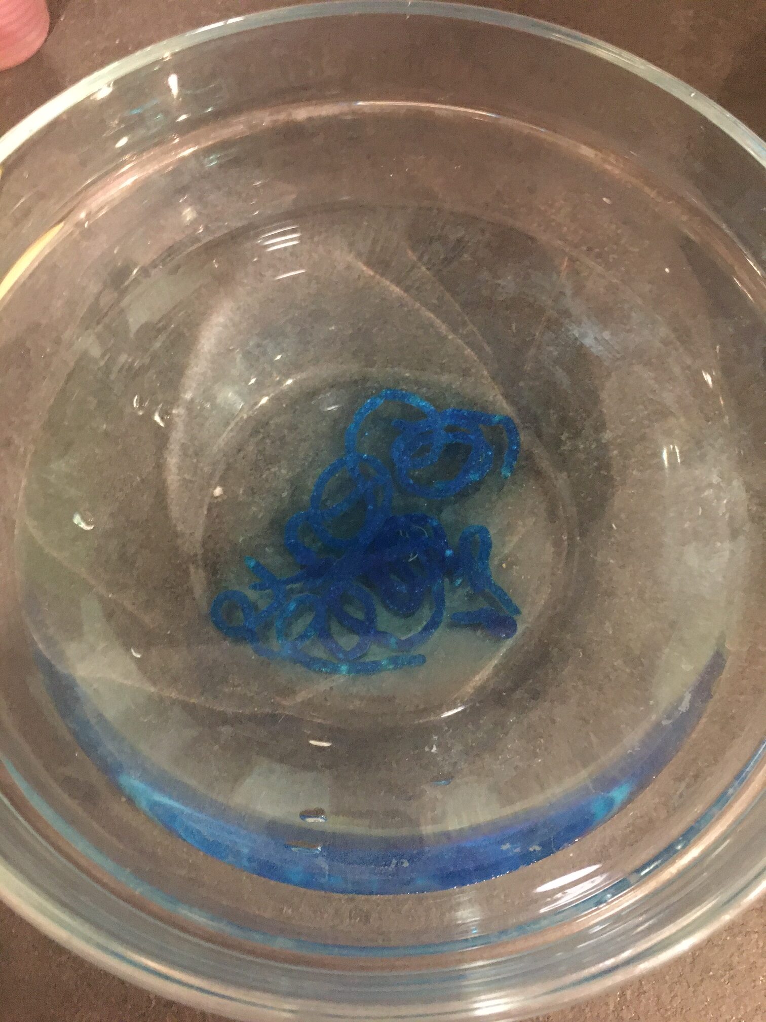 FabLearn Fellows Biotinkering 101